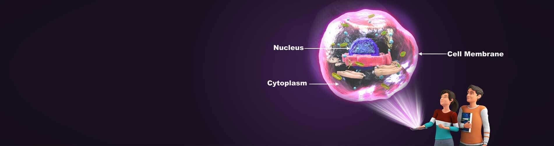 Experiential Learning Solutions | NEP 2020 Education | Teachers ...